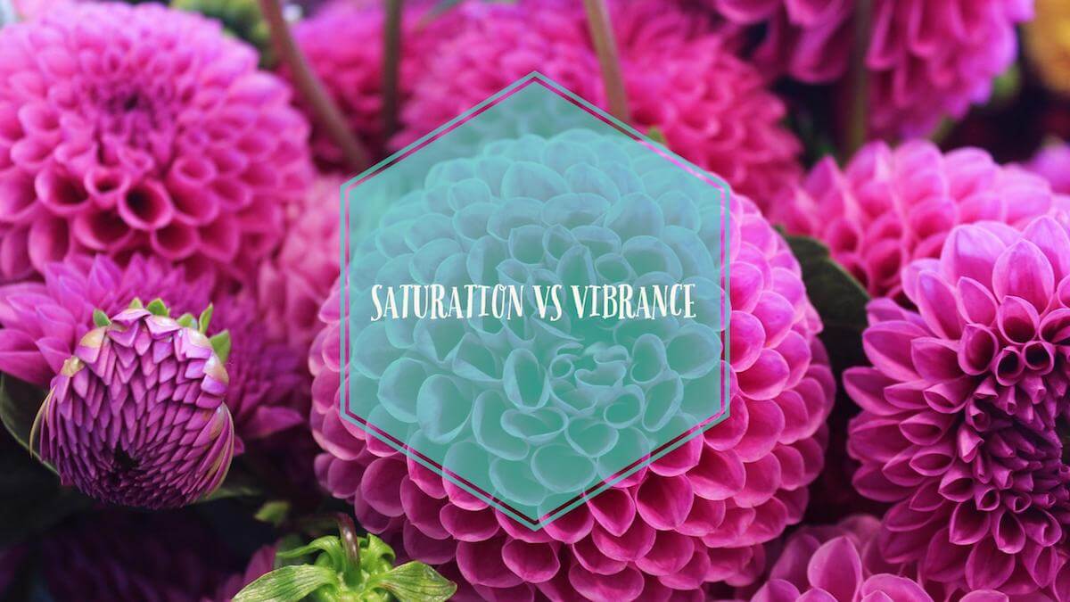 Saturation Vs Vibrance Vs Clarity in Lightroom - PhotographyPresets